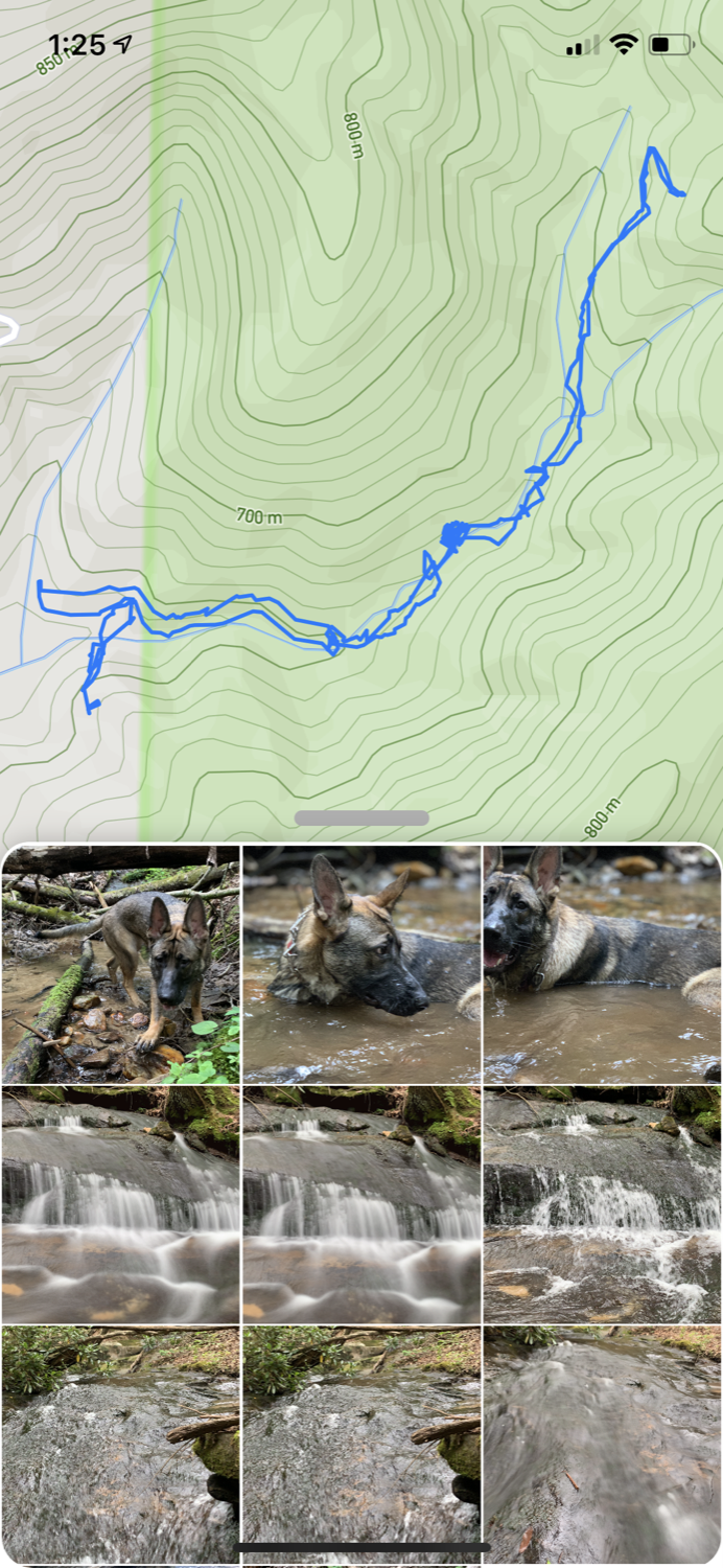 GitHub - adamtootle/gpx-explorer: Simple little app playing around with ...